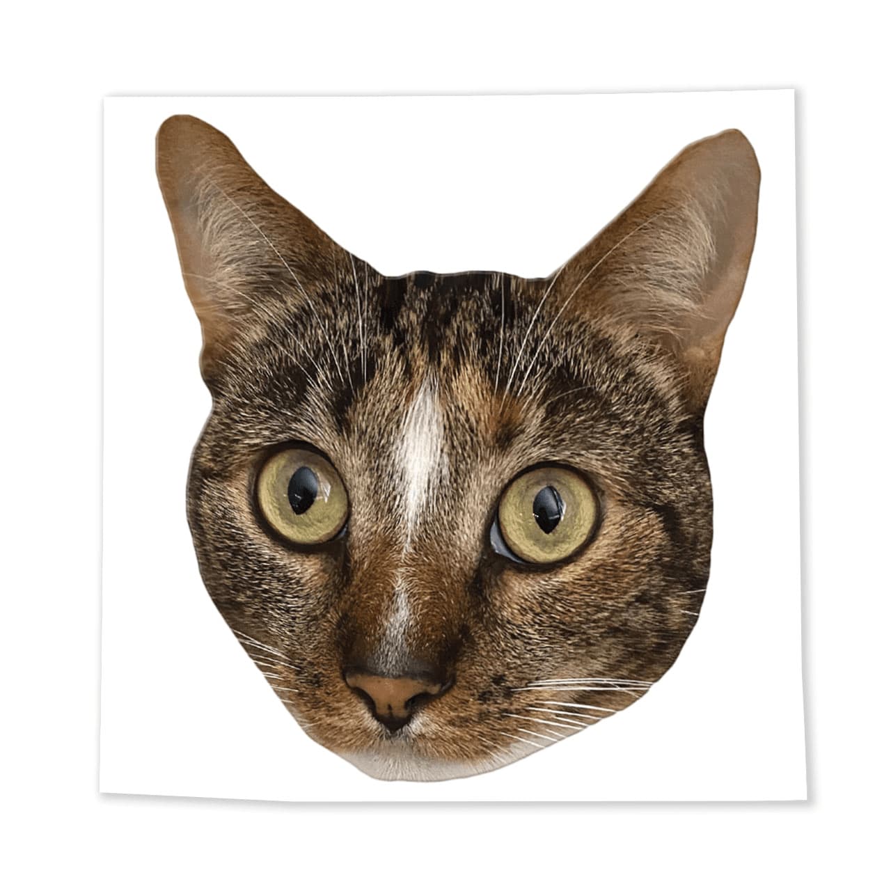 Patches the Purrfect Cat Face Sticker - DREAM